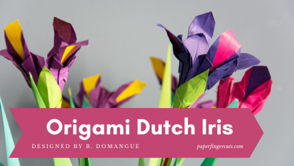How To Make An Origami Iris Flower Step By | Best Flower Site